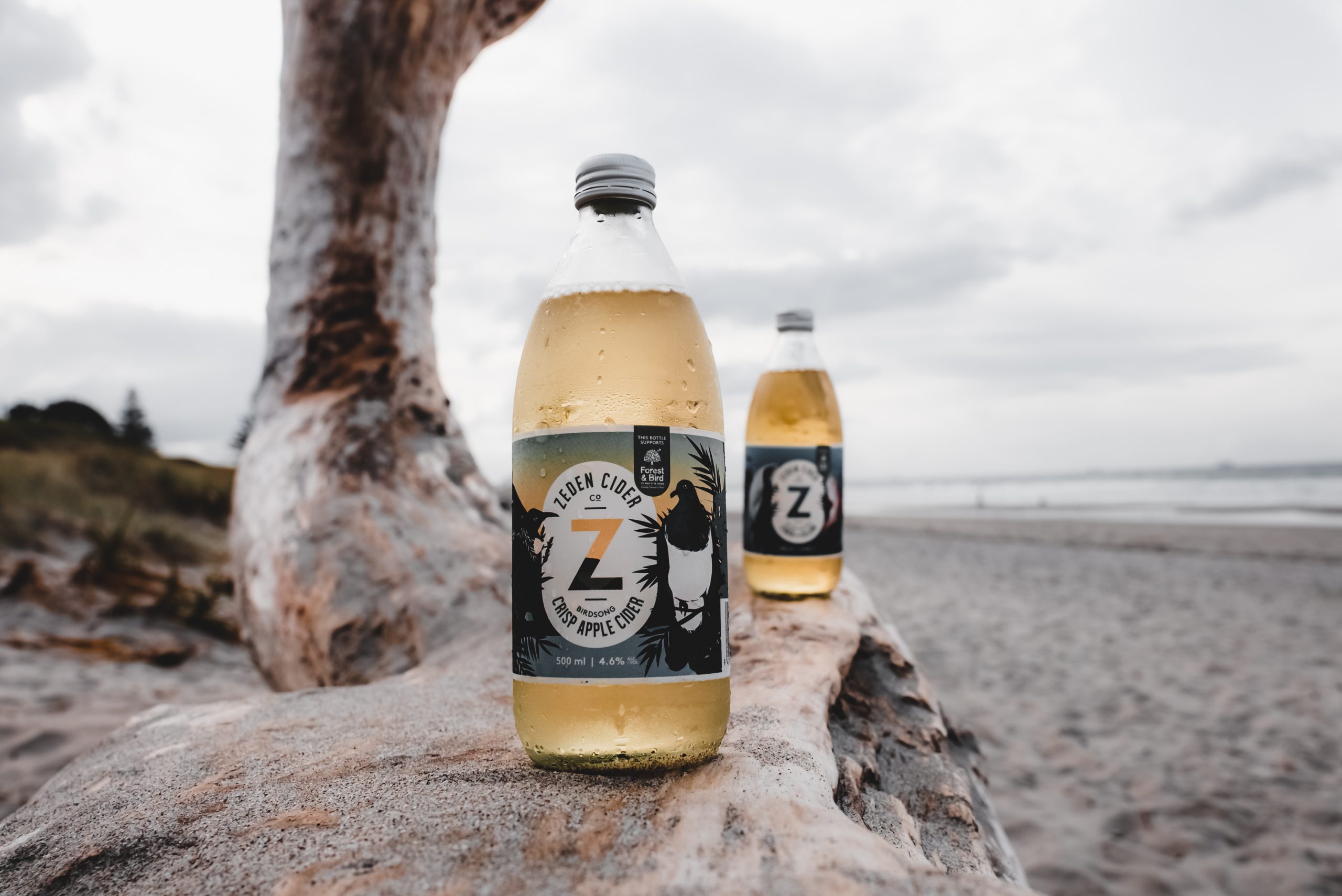 Zeden Cider - Creative Jam